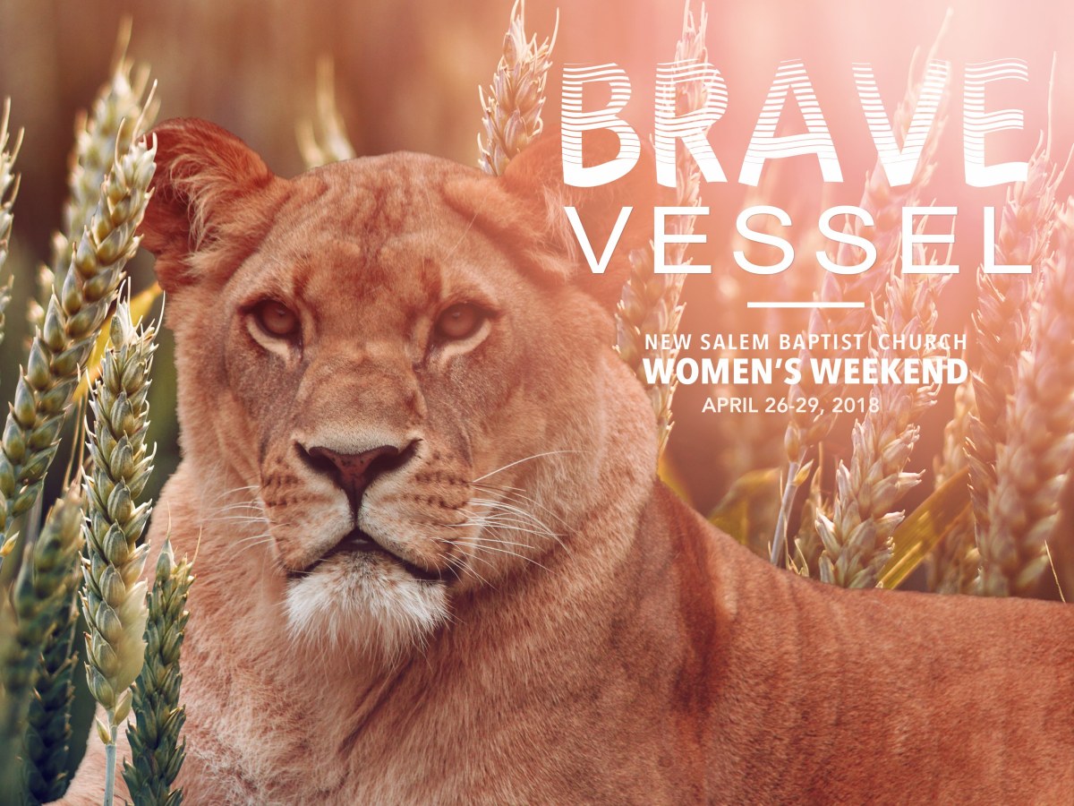 Brave Vessel | Always finding the silver lining